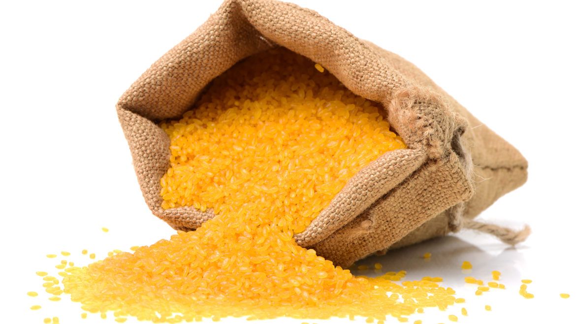 Golden rice gets safety approval in PH - MNLToday.ph