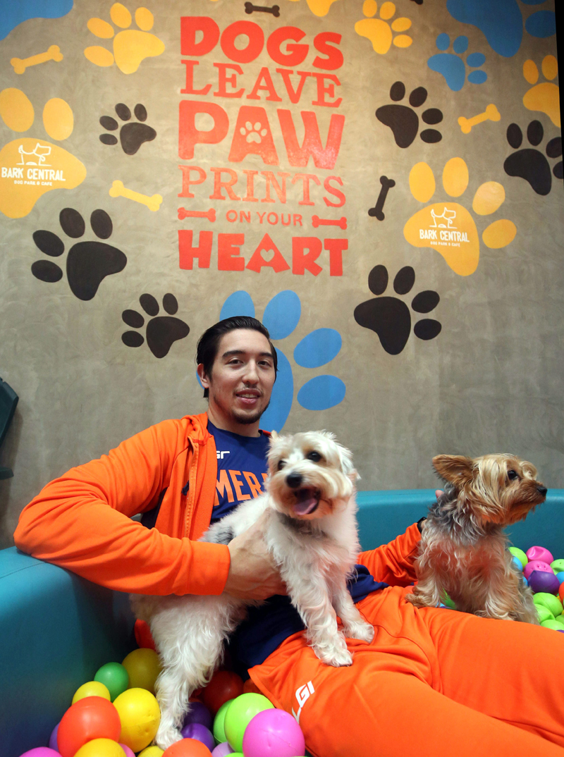 PBA's Cliff Hodge and his love for Yorkies - MNLToday.ph